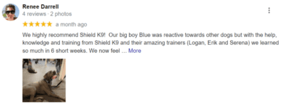 SHIELD K9 DOG TRAINING - REAL TRAINING REAL RESULTS