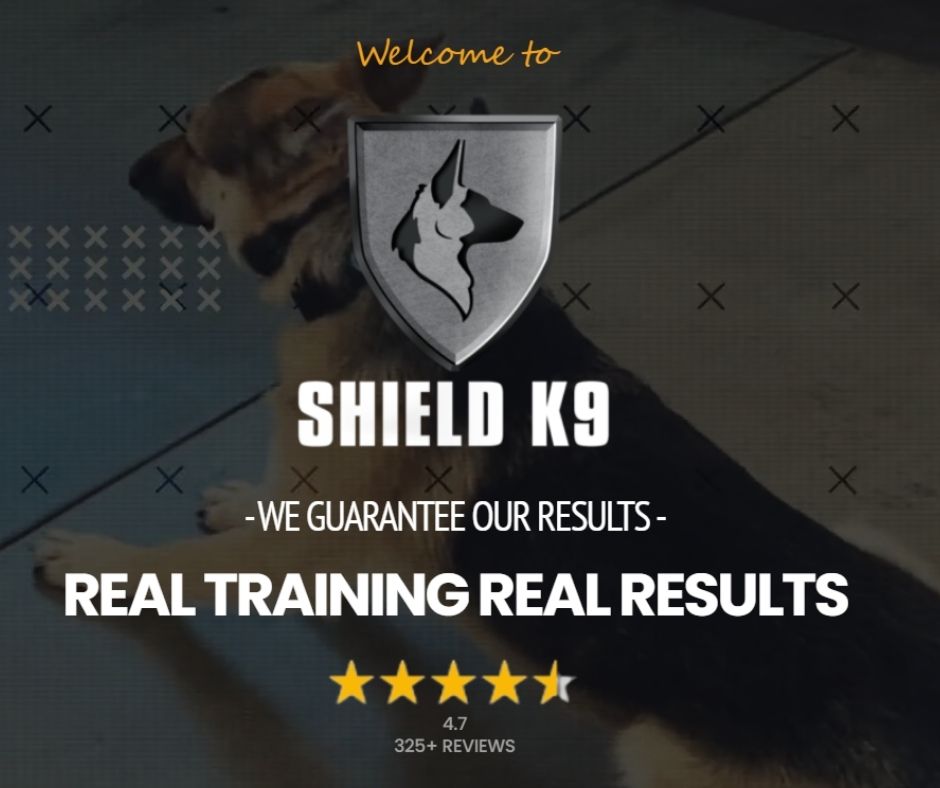 SHIELD K9 DOG TRAINING - REAL TRAINING REAL RESULTS
